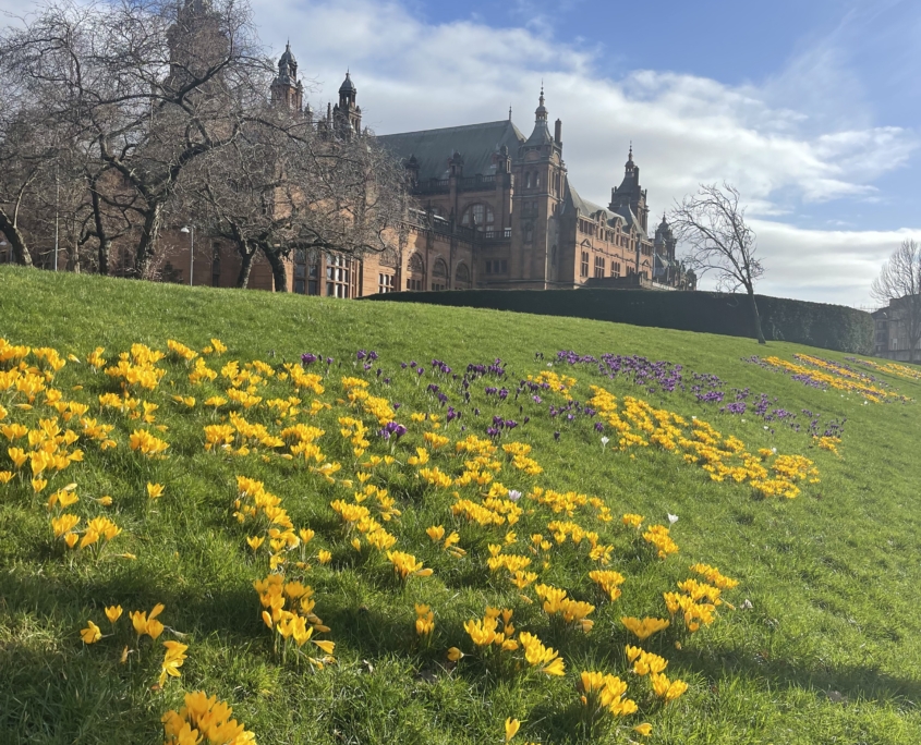 Factors Direct | Property Factoring | Scotland